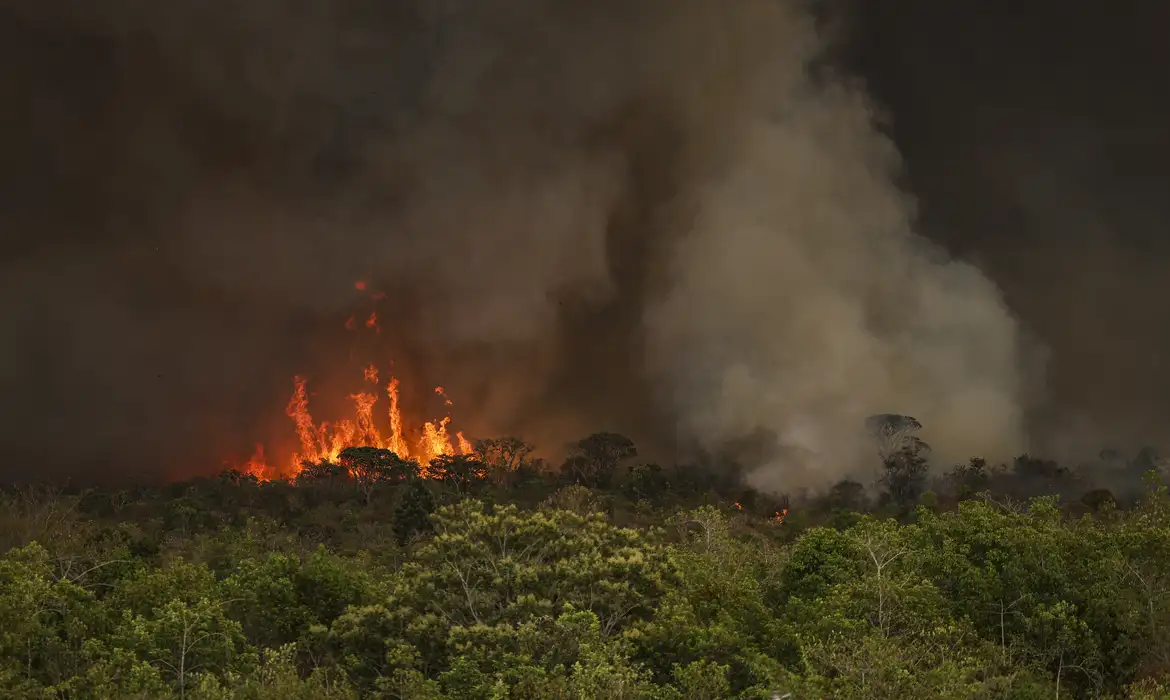 Fogo na Amazônia destruiu 10 vezes mais que desmatamento - IEA ... Fogo na Amazônia destruiu 10 vezes mais que desmatamento - IEA ...